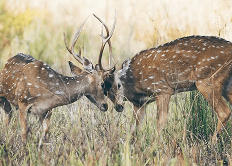 LUT gratuit : notre sélection pour dynamiser vos vidéos - Blog Tuto.com