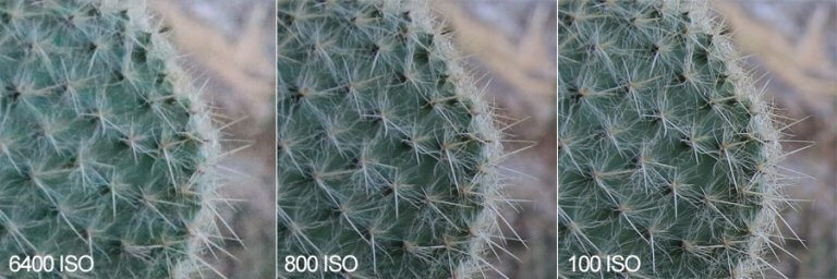 ISO en photo : les secrets pour bien utiliser ce réglage