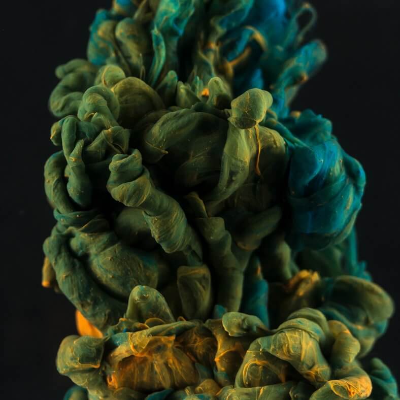 Les étonnants portraits décomposés d'Alberto Seveso - Blog Tuto.com