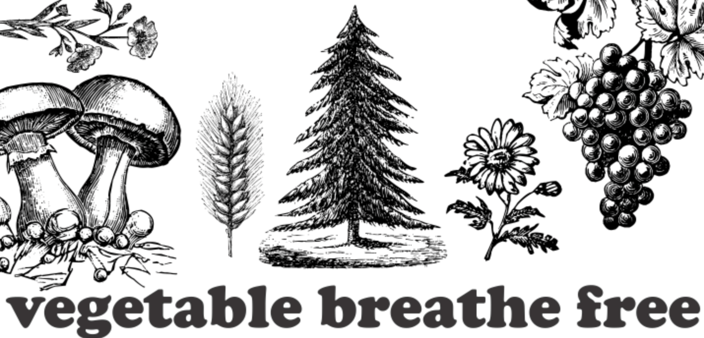 21 typographies de symboles gratuites - Blog Tuto.com